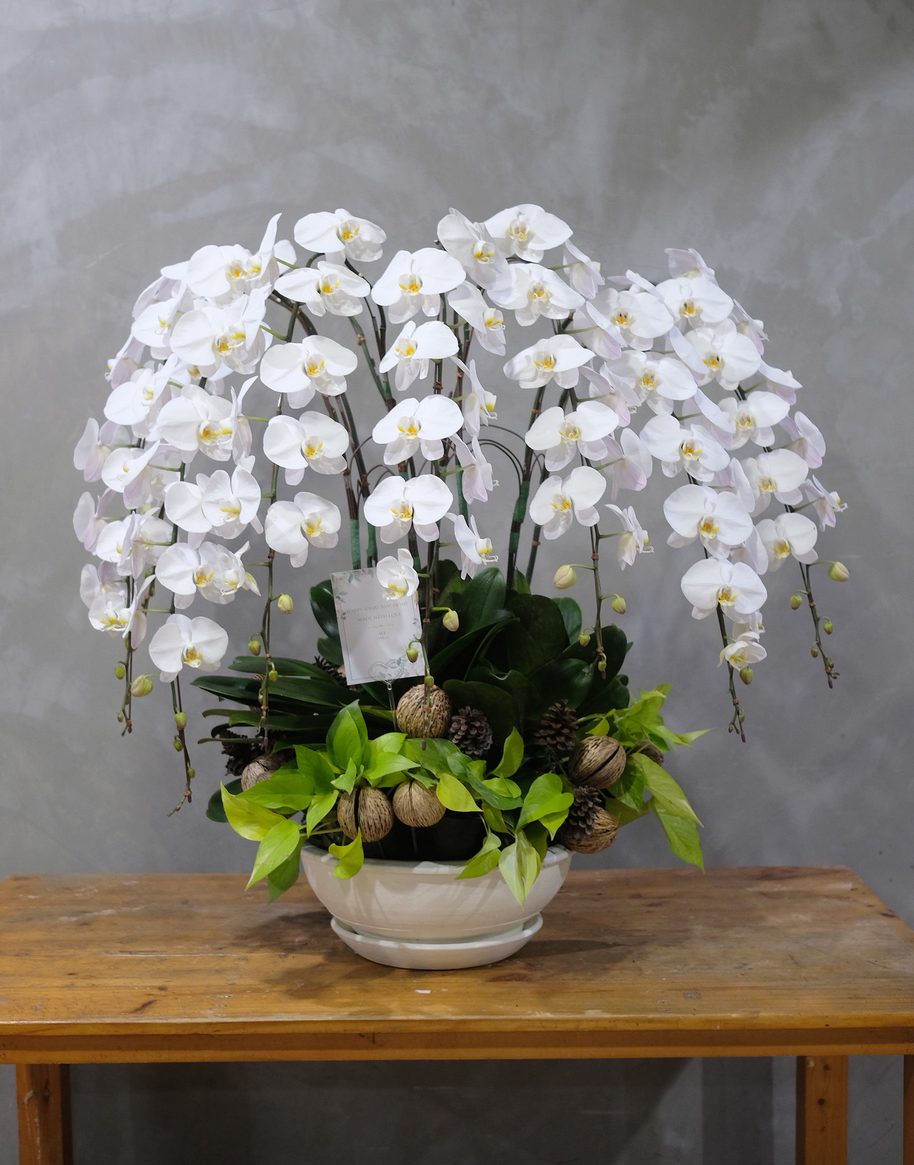Over Sixture Orchid Arrangements – Natural Orchid Thai