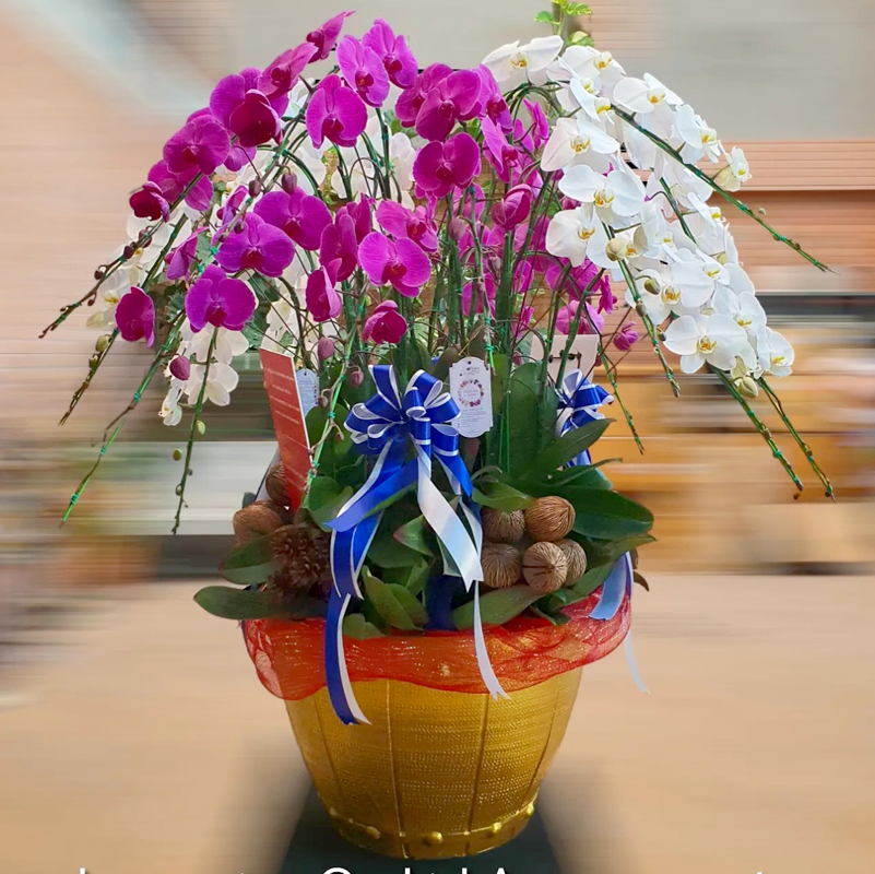 Vigintuple Orchid Arrangements – Natural Orchid Thai